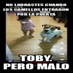 Meme Personalizado - No ladrastes cuando los camellos entraron por la ...