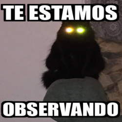 Meme Personalizado - Te estamos Observando - 33291705
