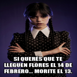 Meme Personalizado - Si querés que te lleguen flores el 14 de febrero ...
