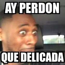 Meme Personalizado - ay perdon que delicada - 33298044