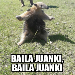 Meme Personalizado - Baila juanki, baila Juanki - 33298322