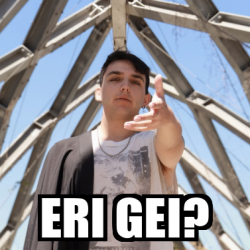 Meme Personalizado - Eri gei? - 33301192