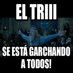 Meme Personalizado - El Triii Se está garchando a todos! - 33301436