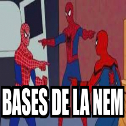 Meme Personalizado - BASES DE LA NEM - 33301490