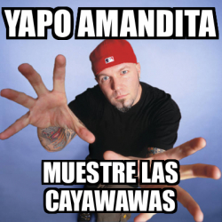 Meme Personalizado - YAPO AMANDITA MUESTRE LAS CAYAWAWAS - 33301618