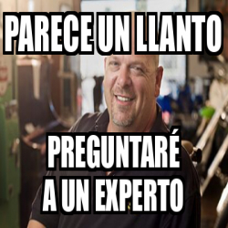 Meme Personalizado - PARECE UN LLANTO PREGUNTARÉ A UN EXPERTO - 33302369