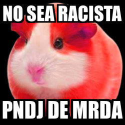 Meme Personalizado - No sea racista PNDJ de MRDA - 33304711