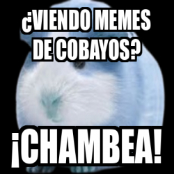 Meme Personalizado - ¿Viendo memes de cobayos? ¡CHAMBEA! - 33304798