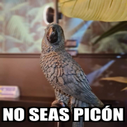 Meme Personalizado - NO SEAS PICÓN - 33305531