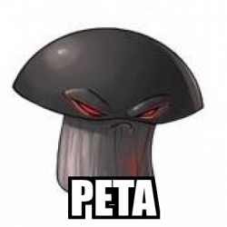 Meme Personalizado - peta - 33309279