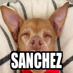 Meme Personalizado - sanchez - 33310909