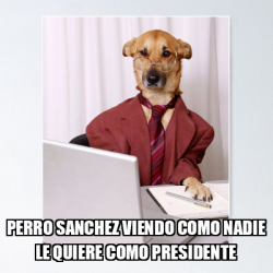 Meme Personalizado - perro sanchez viendo como nadie le quiere como ...