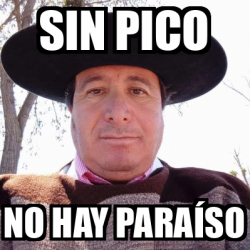 Meme Personalizado - Sin pico No hay paraíso - 33312615