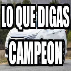 Meme Personalizado - Lo que digas Campeon - 33313494