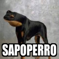 Meme Personalizado - Sapoperro - 33313693