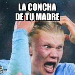 Meme Personalizado - LA CONCHA DE TU MADRE - 33314077