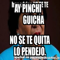 Meme Personalizado - ay pinchi guicha no se te quita lo pendejo. - 33314375
