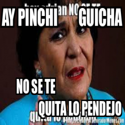 Meme Personalizado - ay pinchi guicha no se te quita lo pendejo - 33314382
