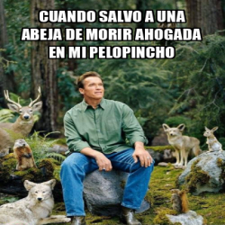 Meme Personalizado - Cuando salvo a una abeja de morir ahogada en mi ...