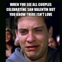 Meme crying peter parker - When you see all couples celebrating San ...