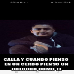 Meme Personalizado - Calla y cuando pienso en un cerdo pienso un ...