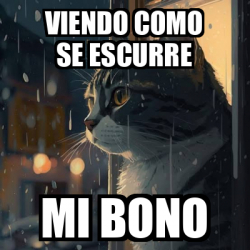 Meme Personalizado - Viendo como se escurre Mi bono - 33317556