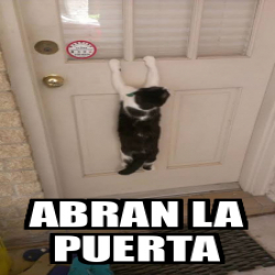 Meme Personalizado - ABRAN LA PUERTA - 33317758