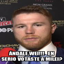 Meme Personalizado - ándale,wei!!! en serio votaste a milei? - 33317810