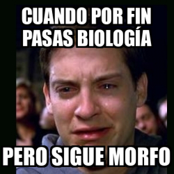 Meme crying peter parker - cuando por fin pasas biología pero sigue ...