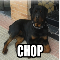 Meme Personalizado - chop - 33325383