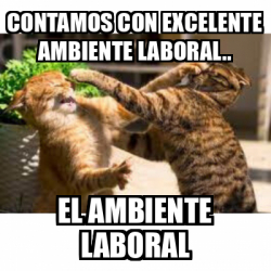 Meme Personalizado - contamos con excelente ambiente laboral.. el ...