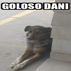 Meme Personalizado - Goloso dani - 33333121