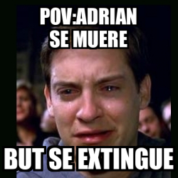 Meme crying peter parker - POV:adrian se muere BUt se extingue - 33333475