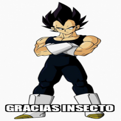 Meme Personalizado - Gracias Insecto - 33335544