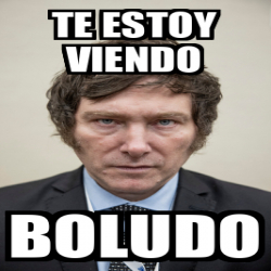 Meme Personalizado - TE ESTOY VIENDO BOLUDO - 33335576
