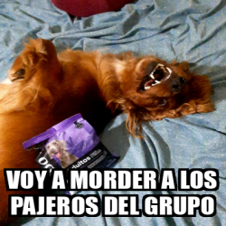 Meme Personalizado - voy a morder a los pajeros del grupo - 33340734