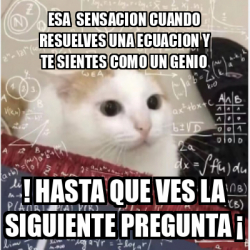 Meme Personalizado - Esa sensacion cuando resuelves una ecuacion y te ...