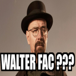 Meme Personalizado - WALTER FAC ??? - 33345909