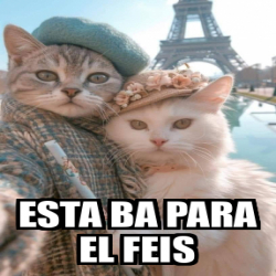 Meme Personalizado - Esta ba para el feis - 33346246