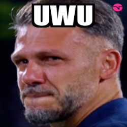 Meme Personalizado - UWU - 33348293
