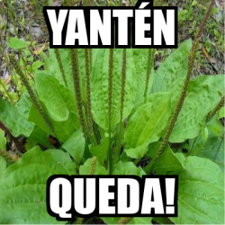 Meme Personalizado - yantén queda! - 33349270
