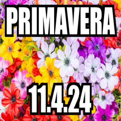 Meme Personalizado - primavera 11.4.24 - 33350582