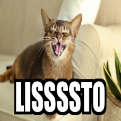 Meme Personalizado - Lissssto - 33352783