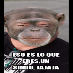 Meme Personalizado - Eso es lo que eres,un simio, jajaja - 33357546