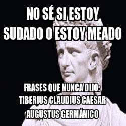 Meme Personalizado - No sé si estoy sudado o estoy meado Frases que ...