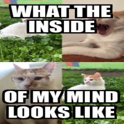 Meme Personalizado - What the inside Of my mind looks like - 33376533