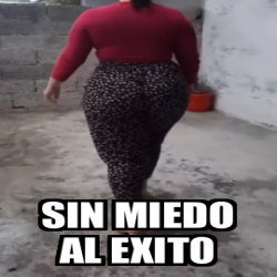 Meme Personalizado - sin miedo al exito - 33383779
