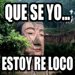 Meme Personalizado - que se yo... estoy re loco - 33388643