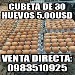 Meme Personalizado - cubeta de 30 huevos 5,00USD venta directa ...