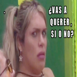Meme Personalizado - . ¿ v a s a q u e r e r , s i o n o ? - 33392195